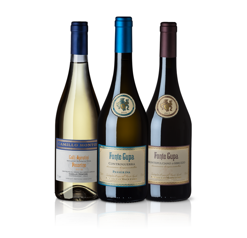 Montori - Vini Camillo Montori - Controguerra - Abruzzo - Montepulciano ...