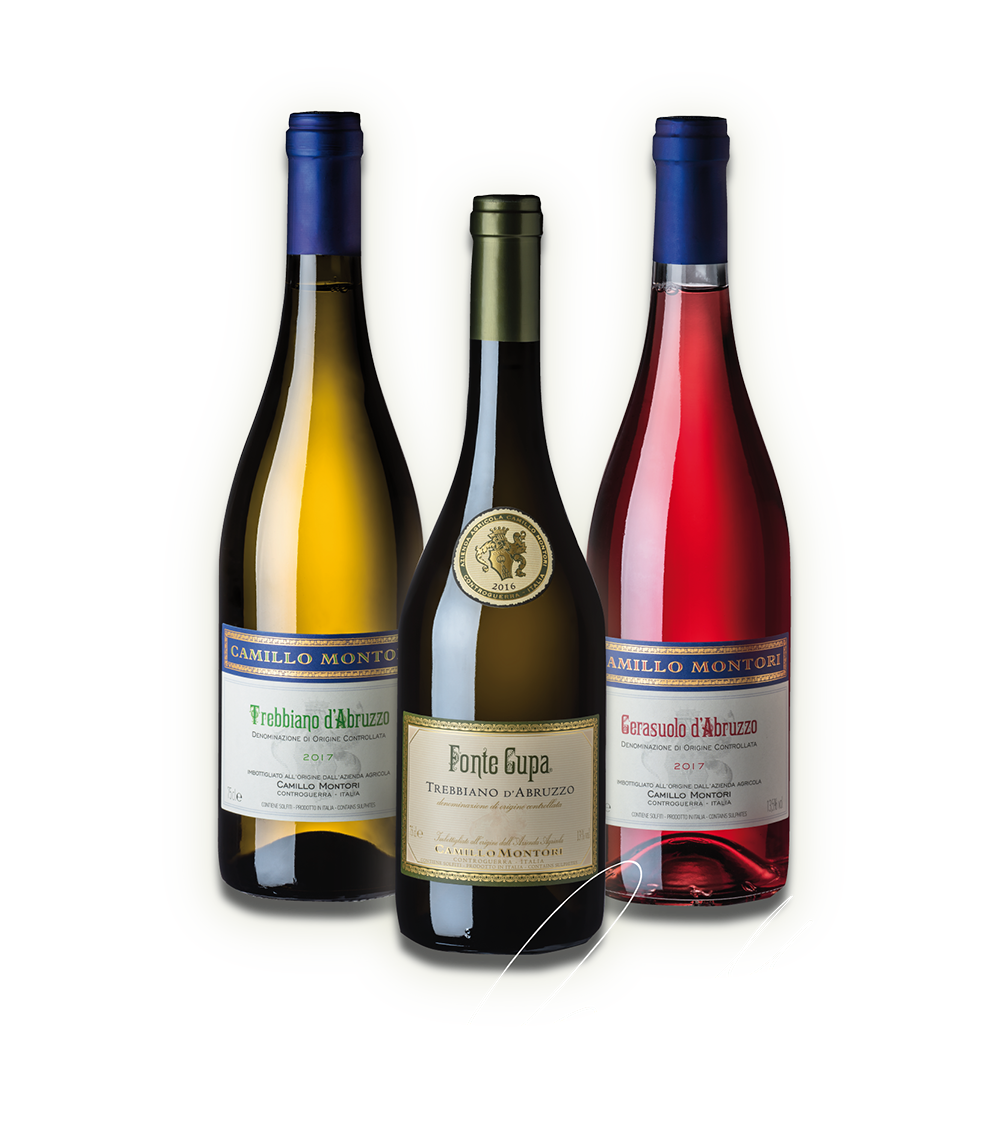 Montori - Vini Camillo Montori - Controguerra - Abruzzo - Montepulciano ...
