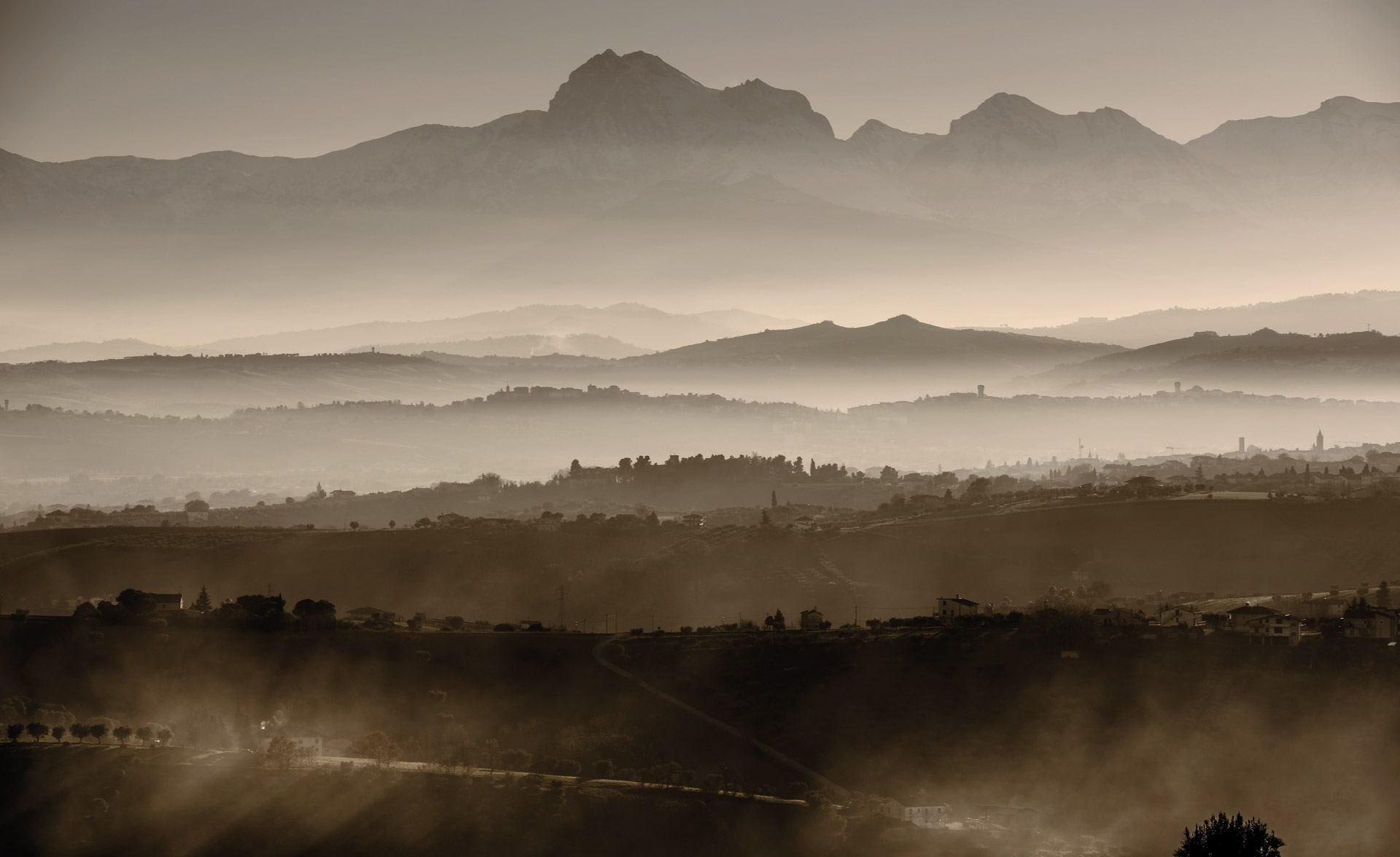 Montori - Vini Camillo Montori - Controguerra - Abruzzo - Montepulciano ...